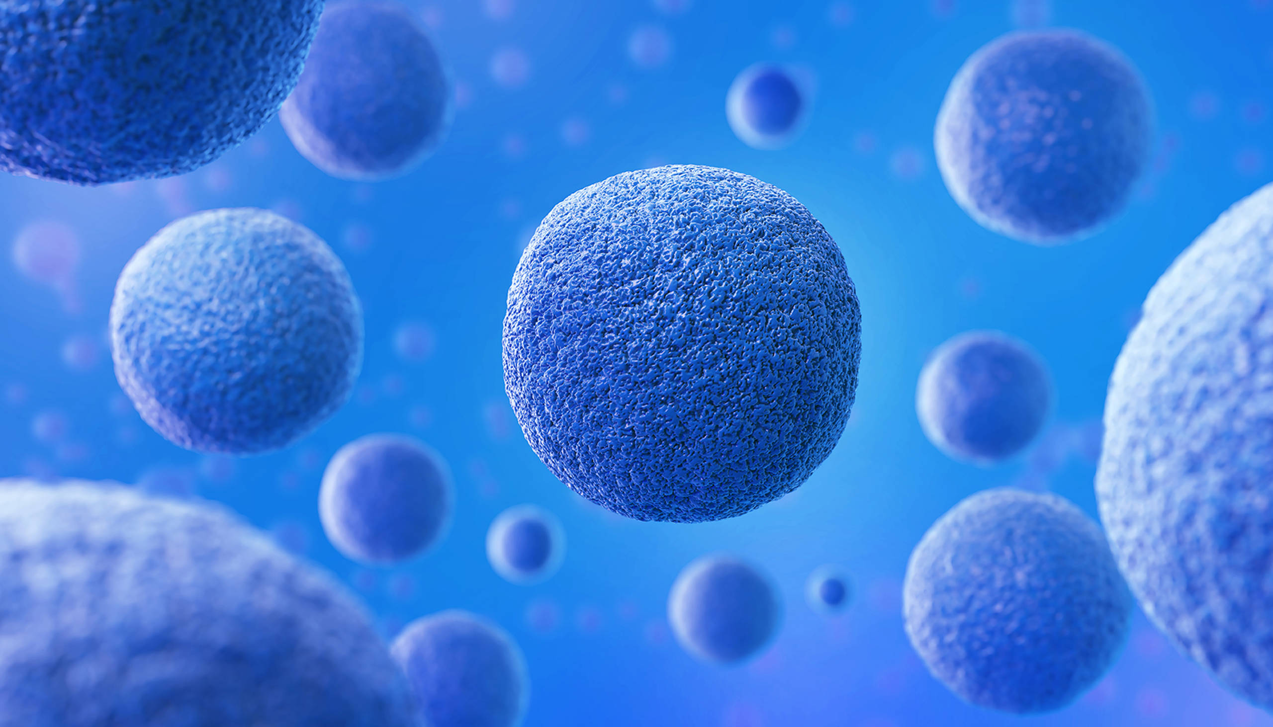 New additions to LE&RN Centers of Excellence in the Diagnosis and ...